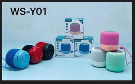 WSTER SPEAKER WS-Y01 – WESTORE