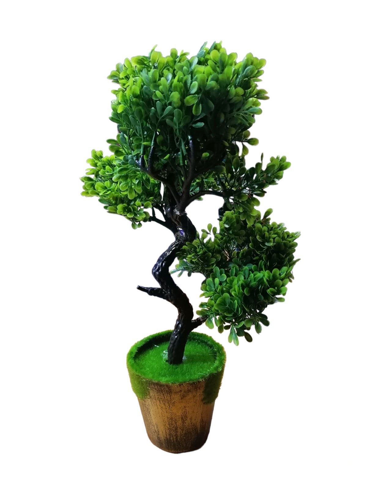C55-01 PLASTIC TREE – WESTORE