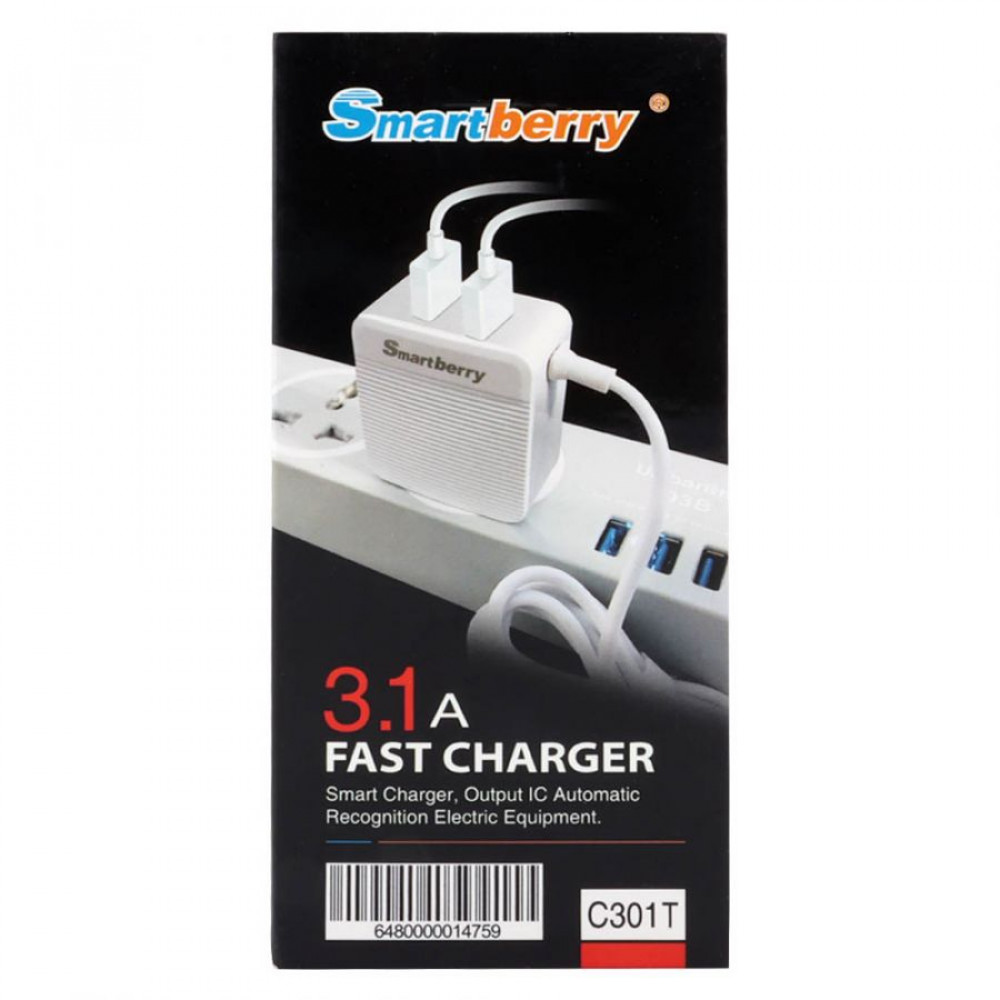 SMART BERRY FAST CHARGER 3.1 A C301T – WESTORE