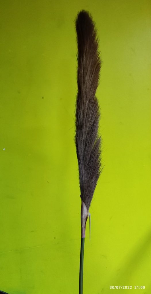 TC465-10 ARTIFICIAL SINGLE REED – WESTORE