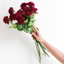 TC394R 5 HEAD SINGLE VELVET ROSE RED – WESTORE